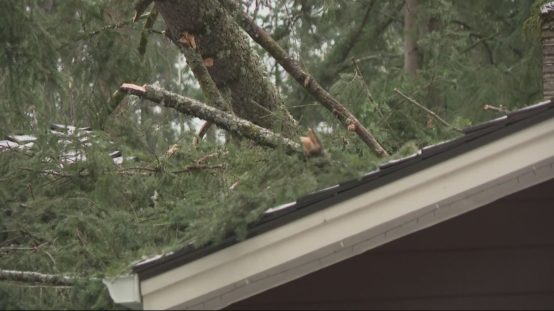2 people dead and many without a home after high winds knock over trees ...
