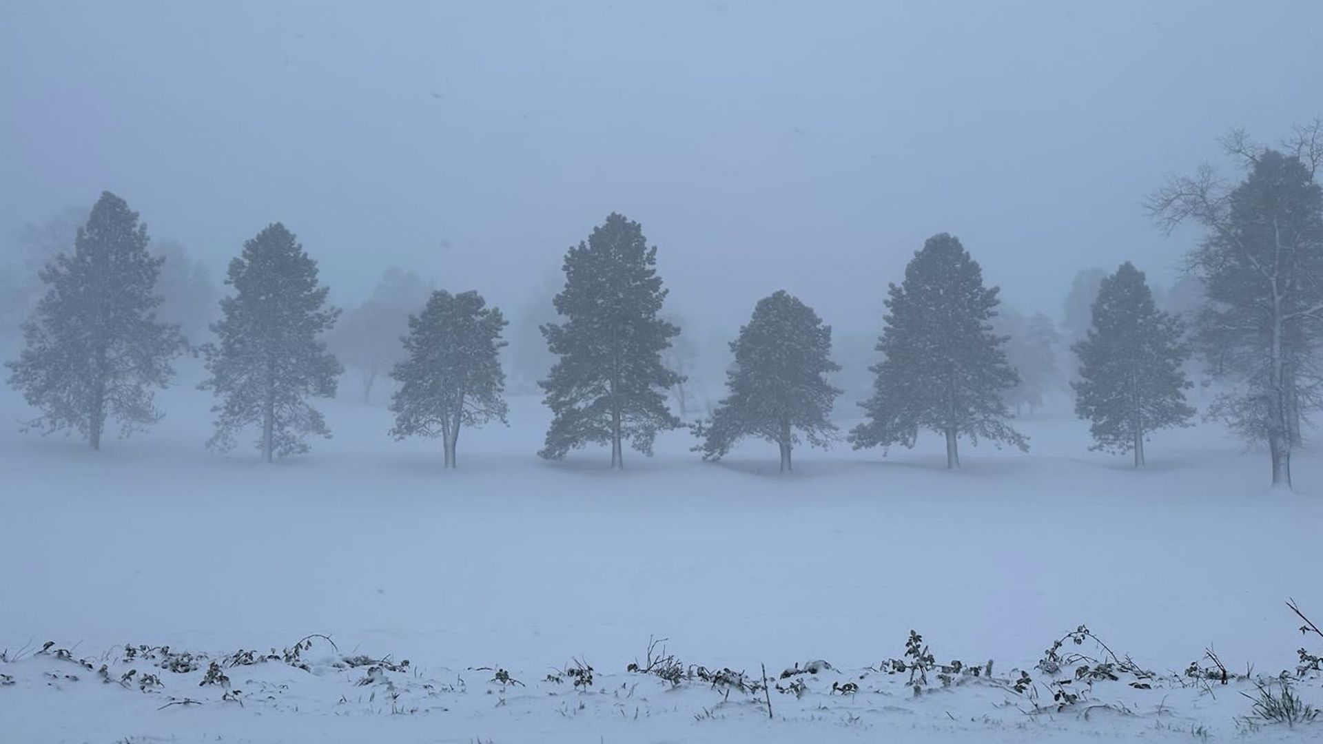 Winter storm in Oregon: Record snow falls in Portland | kgw.com