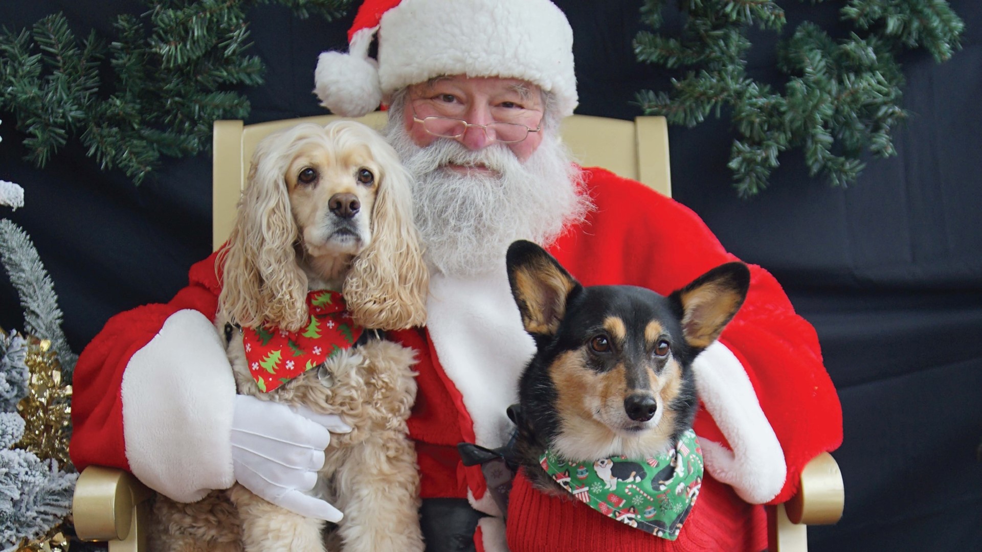 Where to find Santa for those holiday family and pet photos | kgw.com