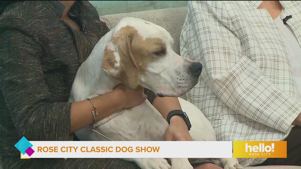 The 76th annual Rose City Classic Dog Show | kgw.com