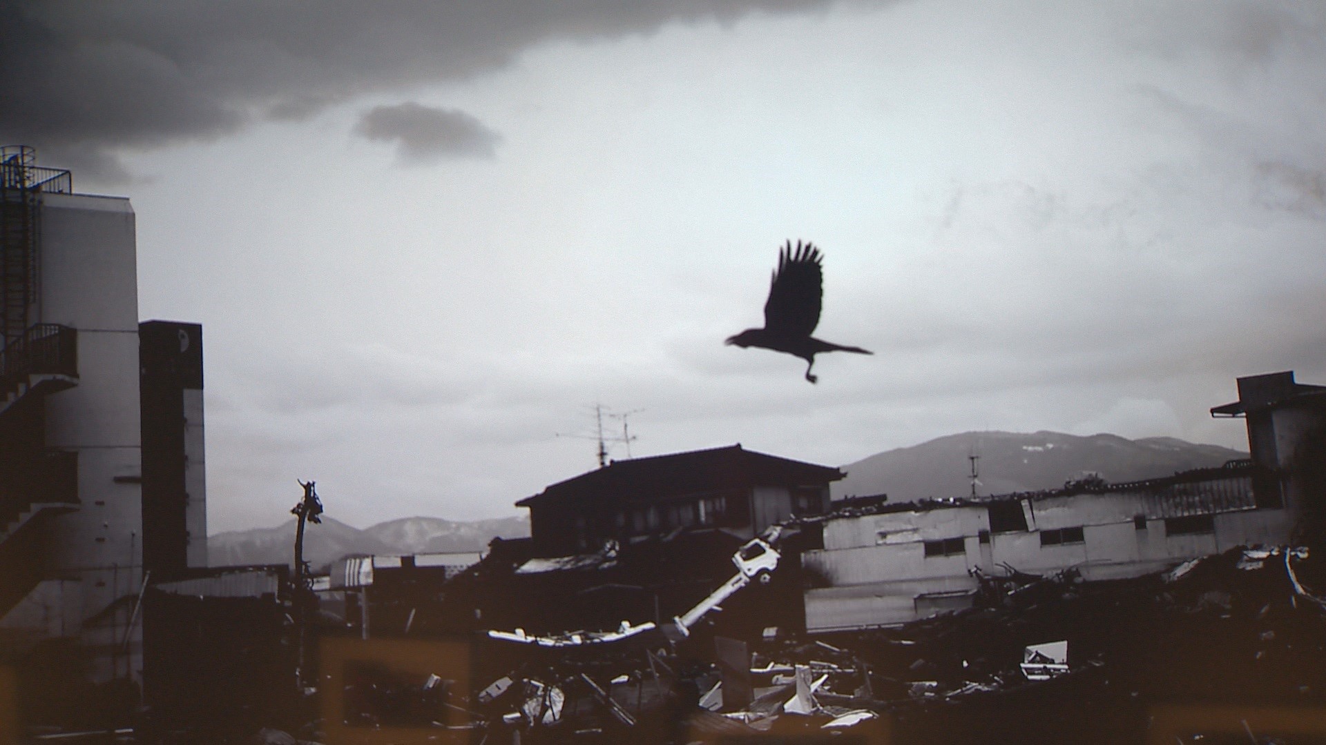 David Gilkey, a news photographer from Portland, remembered for passion ...