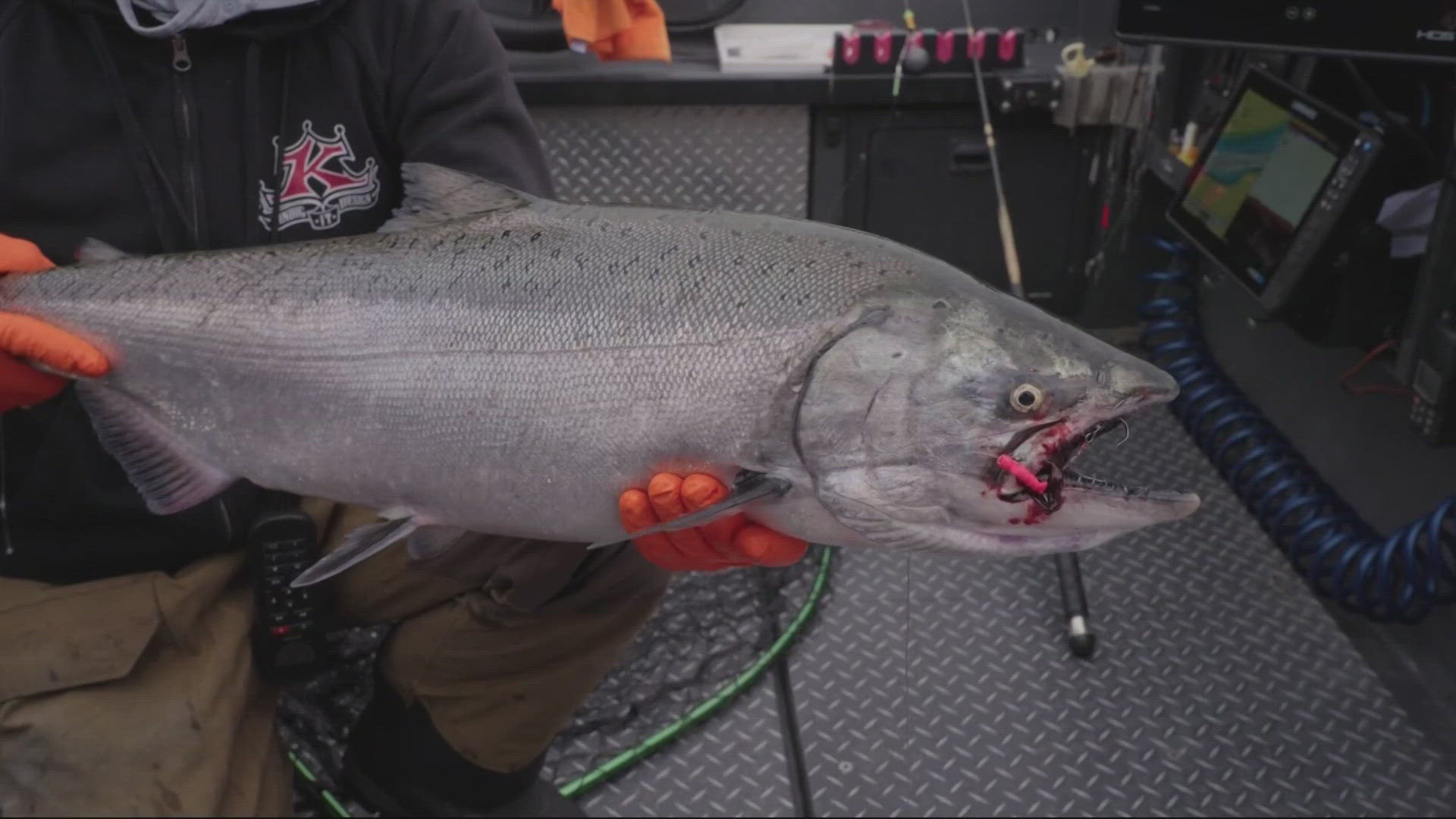 Oregon State University researchers use AI to predict freshwater fish ...