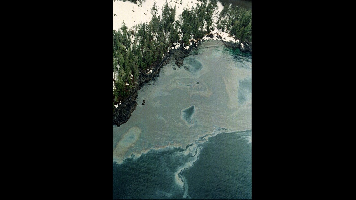 Photos: 1989 Exxon Valdez oil spill in Prince William Sound, Alaska ...