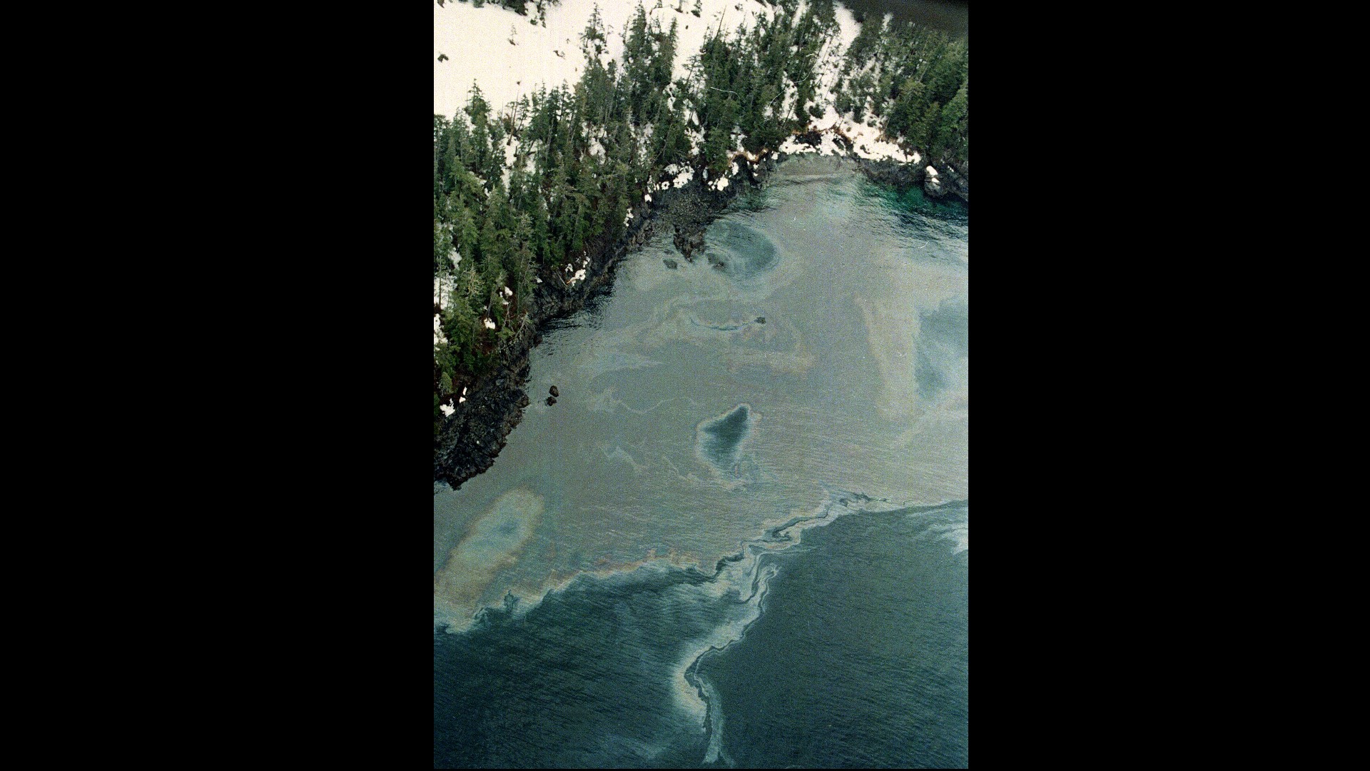 Photos: 1989 Exxon Valdez oil spill in Prince William Sound, Alaska ...