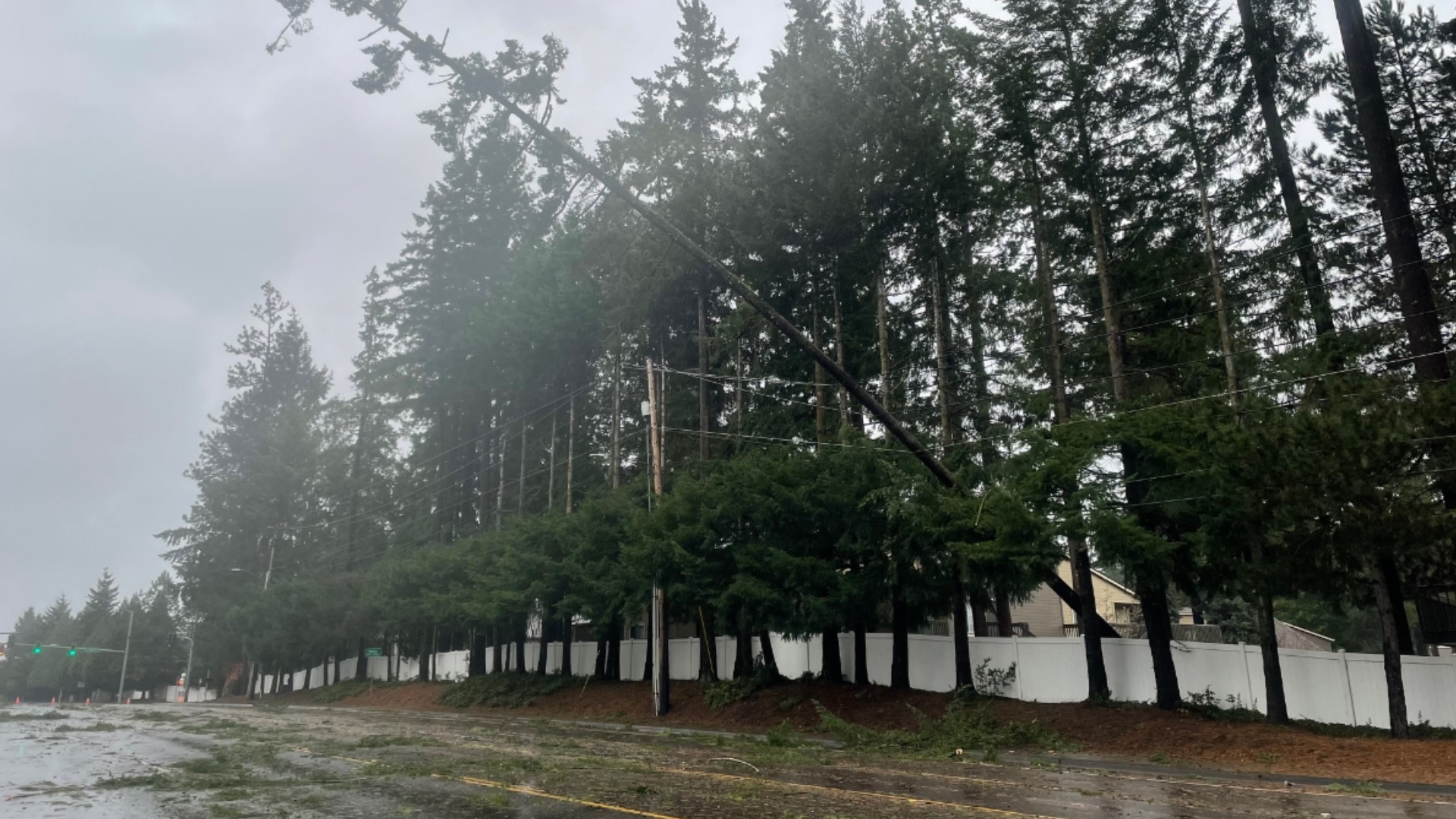 Portland grapples with flooding and downed trees citywide | kgw.com