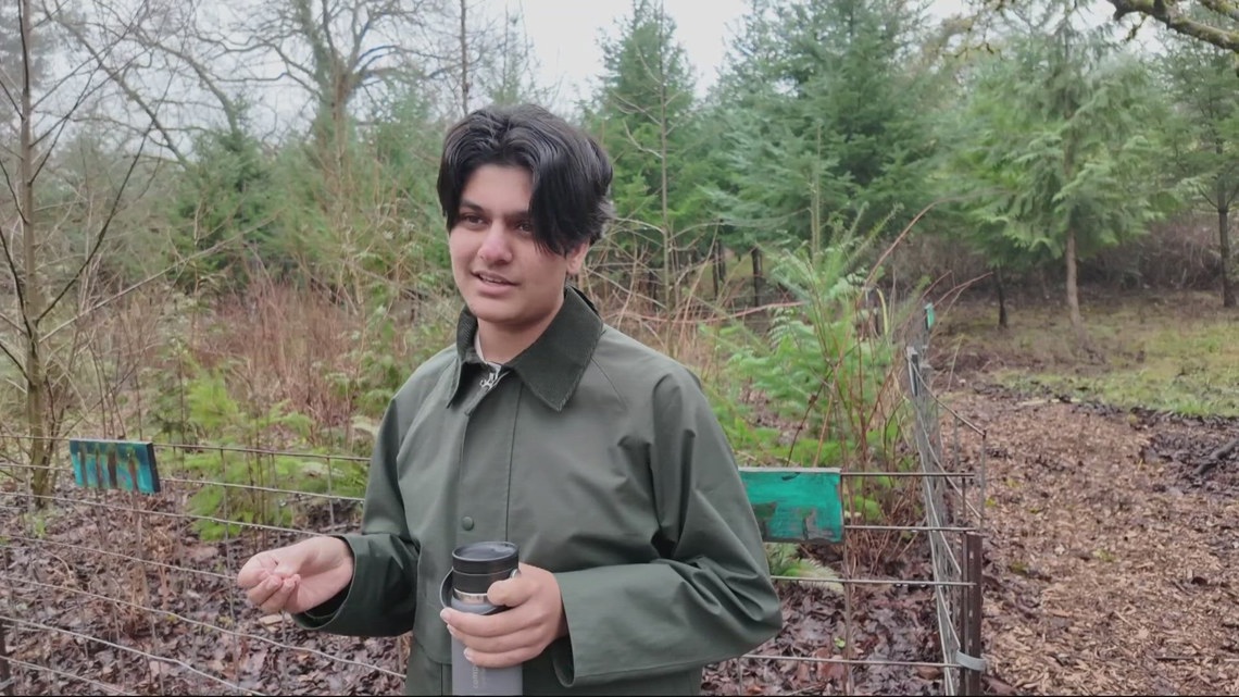 Portland students combat climate change with tiny forest project | kgw.com