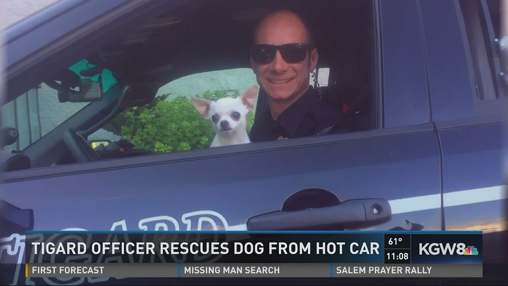 Meet the Tigard cop who saved a Chihuahua from a hot car | kgw.com