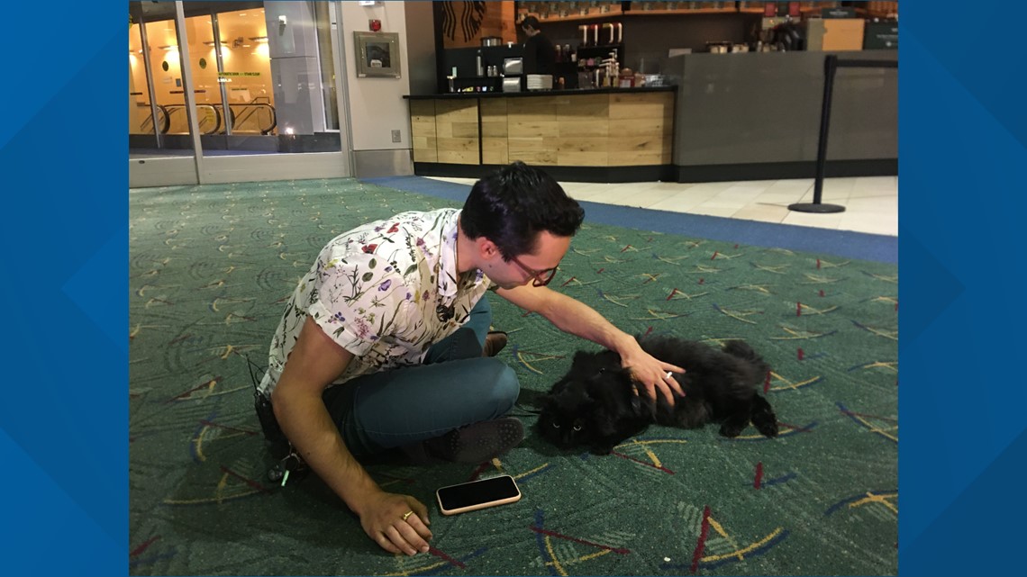 Watch: Portland man reunites at PDX with cat that vanished five years ...