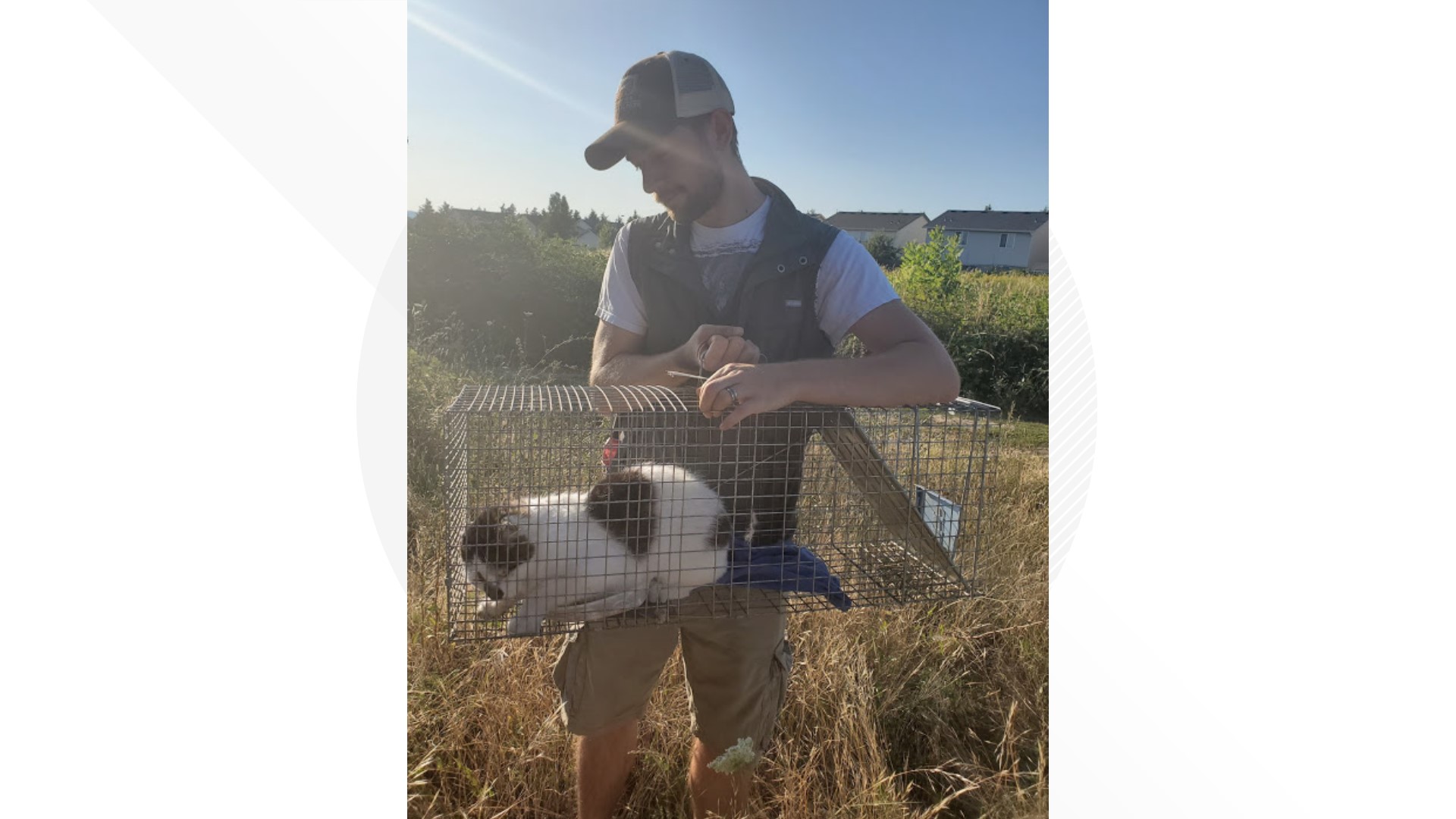 I Paw'd It Forward searches for lost pet | kgw.com