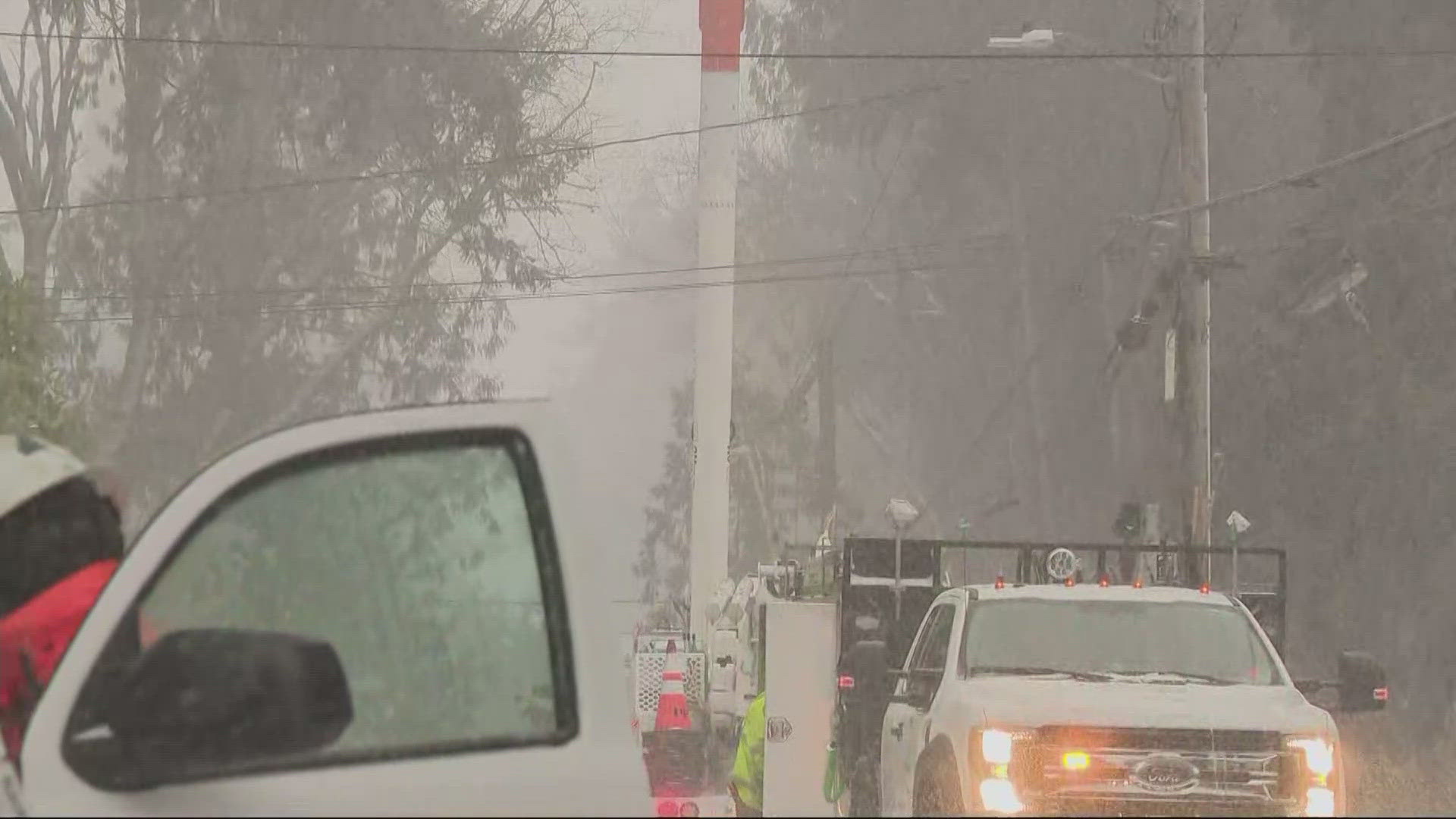Large tree fell on power line in Southwest Portland during heavy winds ...