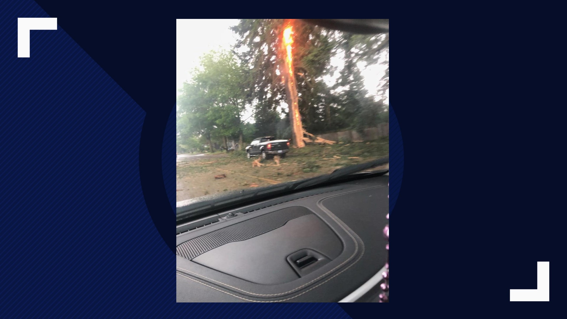 Tree struck by lightning, catches fire in Eugene | kgw.com