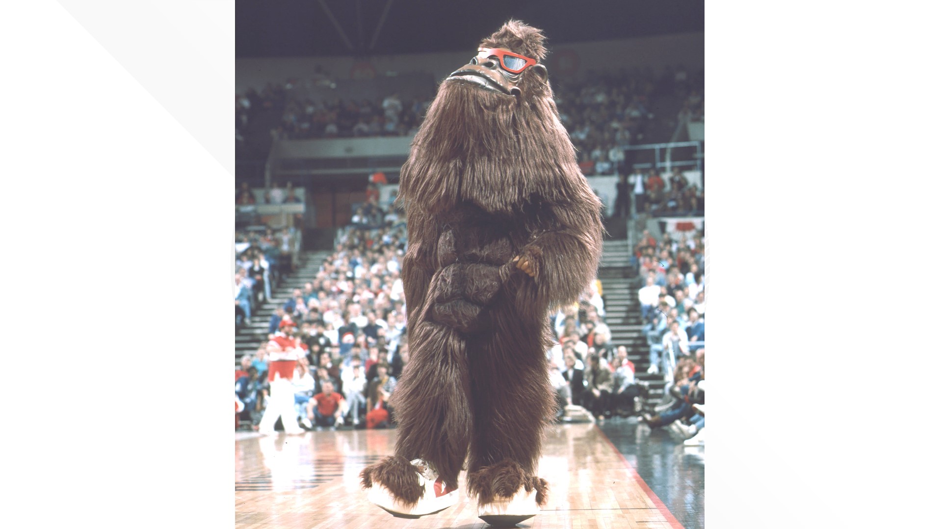 Trail Blazers unveil new Bigfoot mascot Douglas Fur | kgw.com
