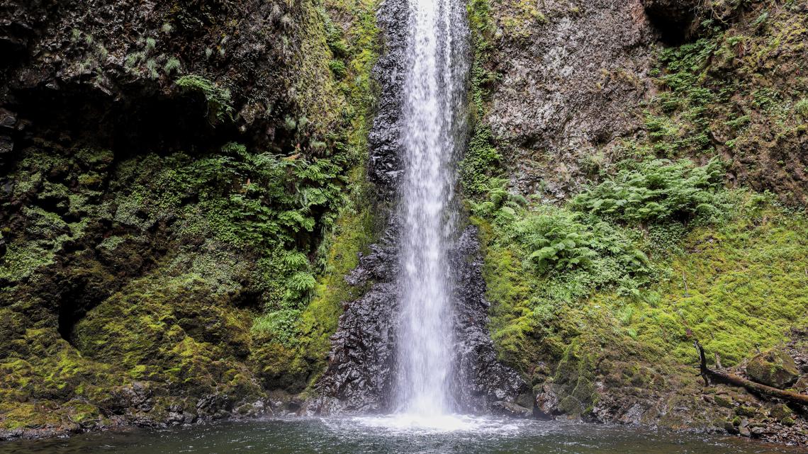 First look: Portland Diamond Project unveils MLB stadium vision | kgw.com