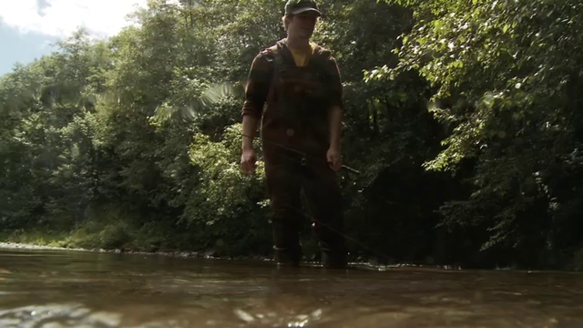 Camping on Trask River in Oregon Coast Range | kgw.com