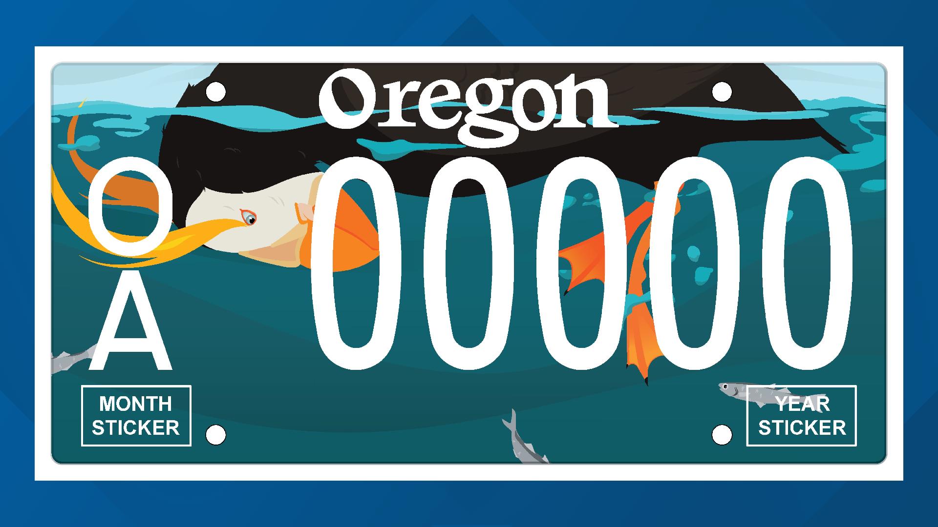 How Oregonians can get a puffin license plate | kgw.com