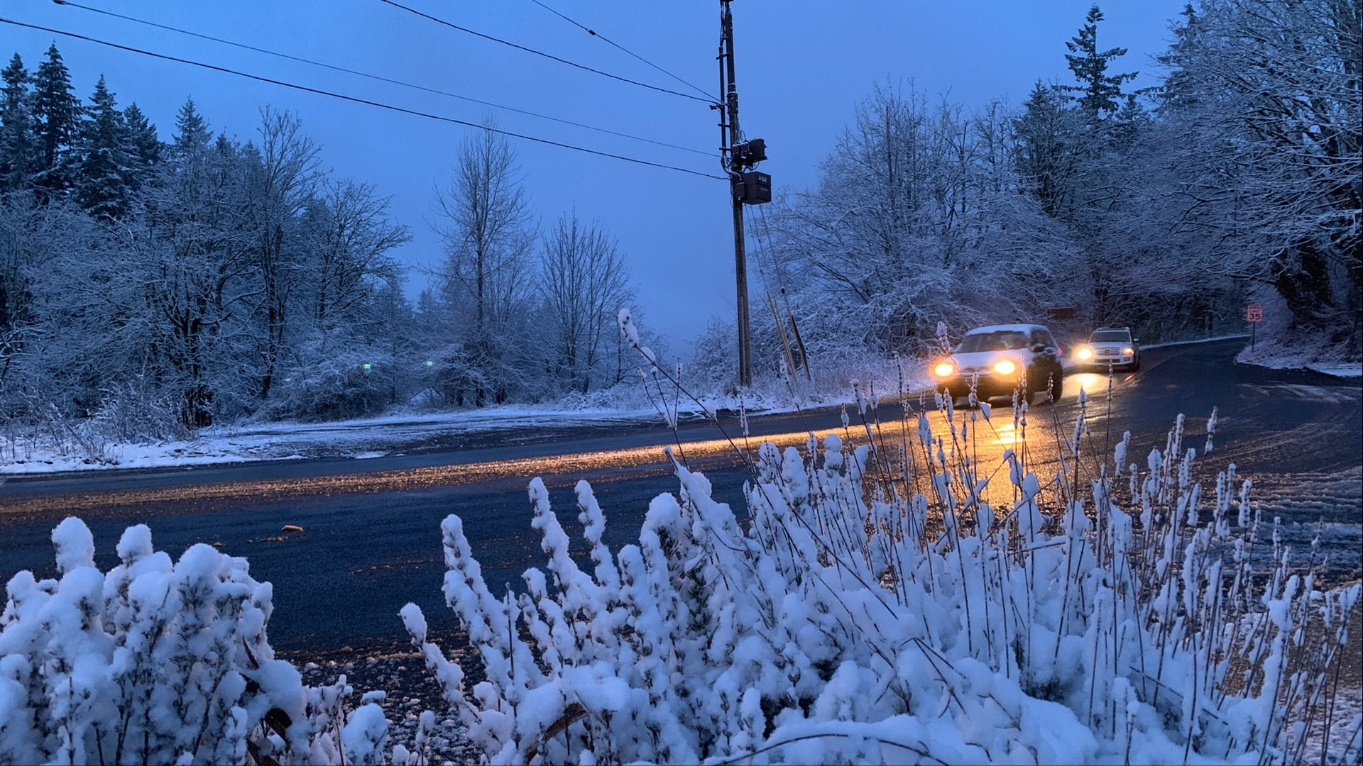 Tourists visit the coast range to see Valentine's Day snow | kgw.com