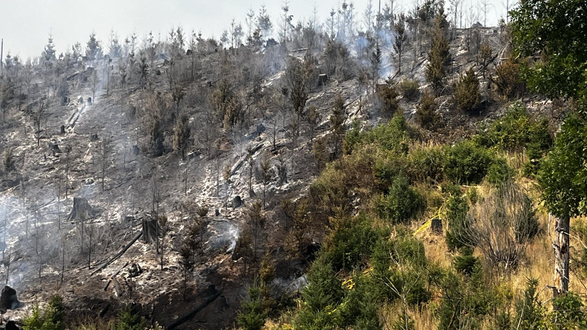 Lee Falls Fire near Hagg Lake forces Level 3 (Go Now) evacuations | kgw.com