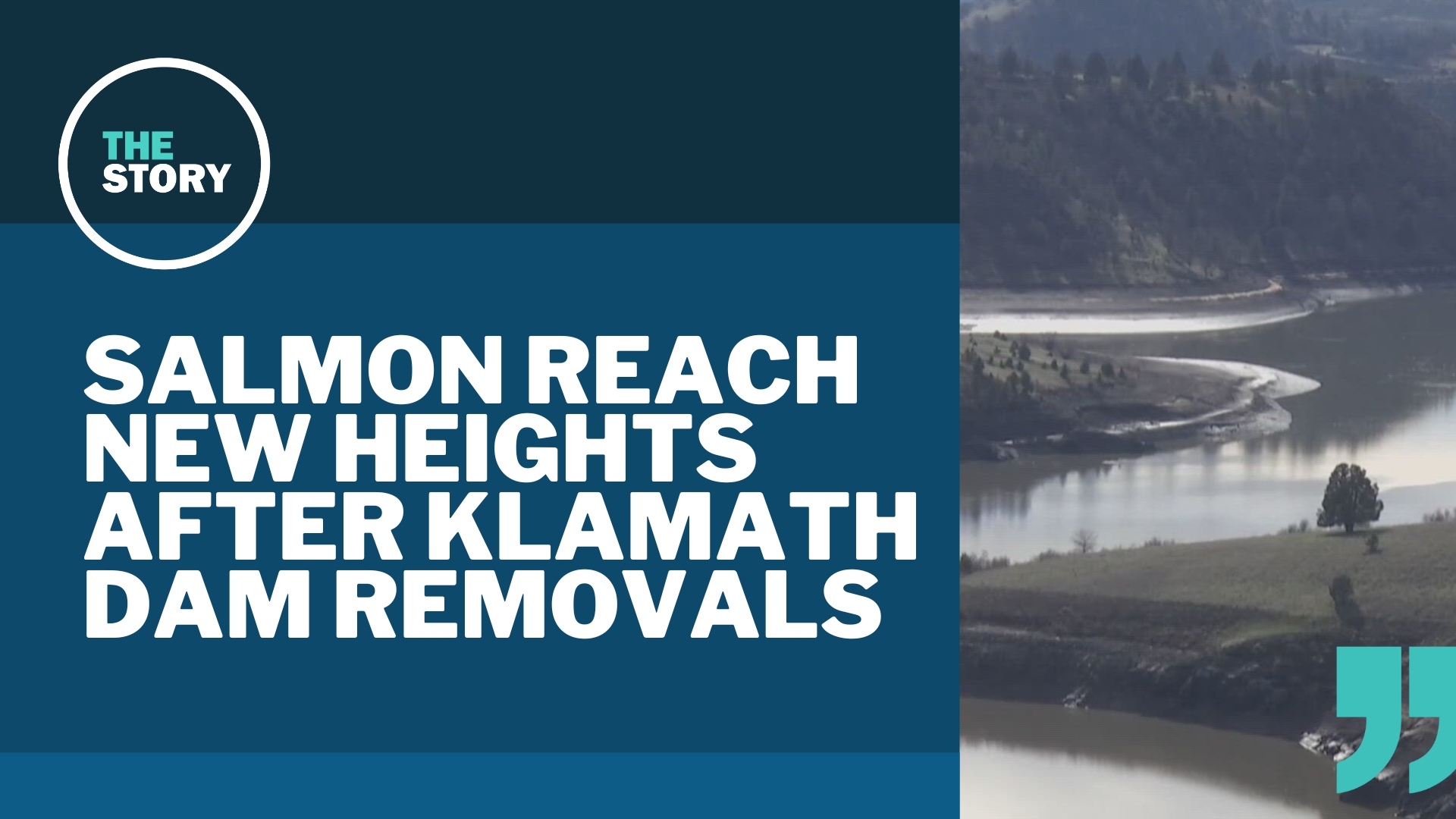 Video catches Chinook salmon passing upper Klamath River dam | kgw.com
