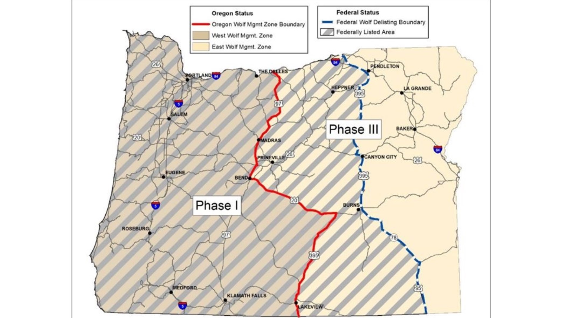 Oregon wolf population unchanged in 2023, report finds | kgw.com