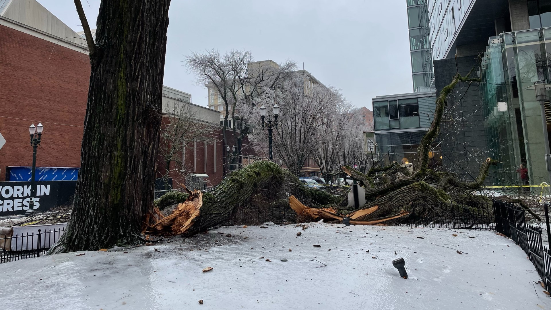 Portland ice storm brought down hundreds of trees around the city | kgw.com