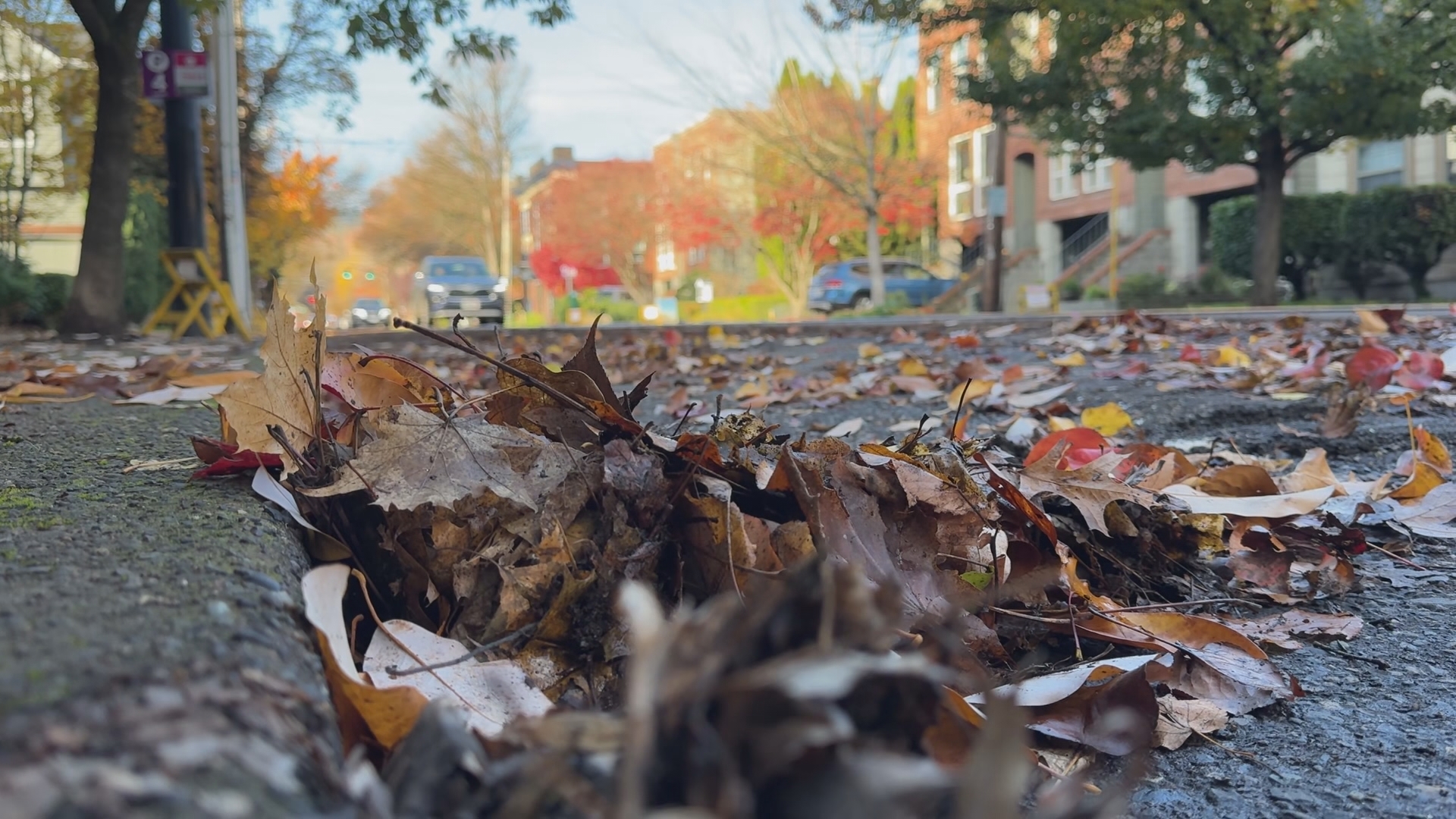Leaf Day service: Pickup schedule in Portland | kgw.com