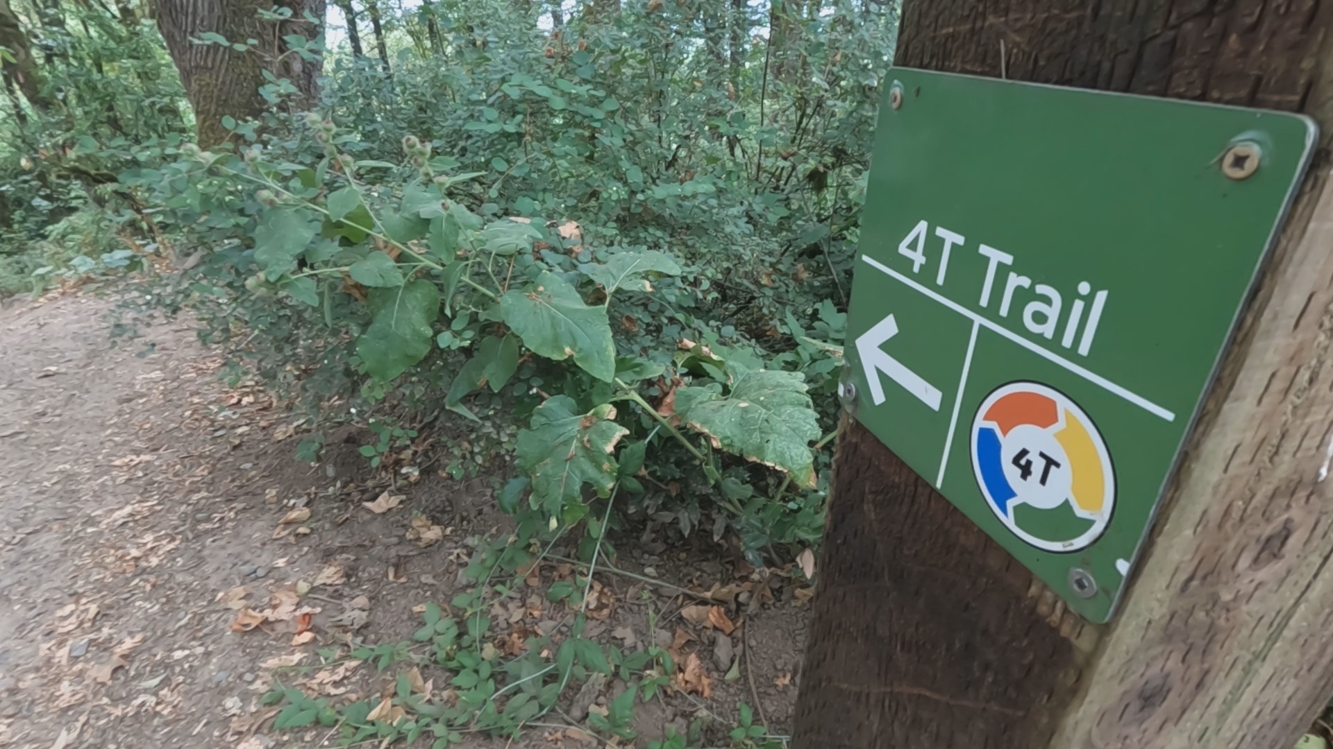 Explore Portland's 4T Trail via trail, tram, trolley and train | kgw.com