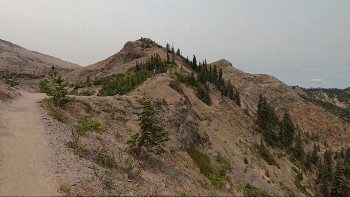 Let's Get Out There: Hiking the Ape Canyon Trail on Mt. St. Helens ...