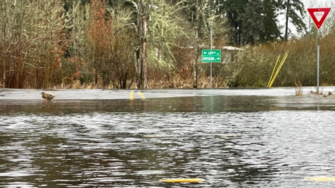Heavy rain leads to flooding across Western Oregon | kgw.com