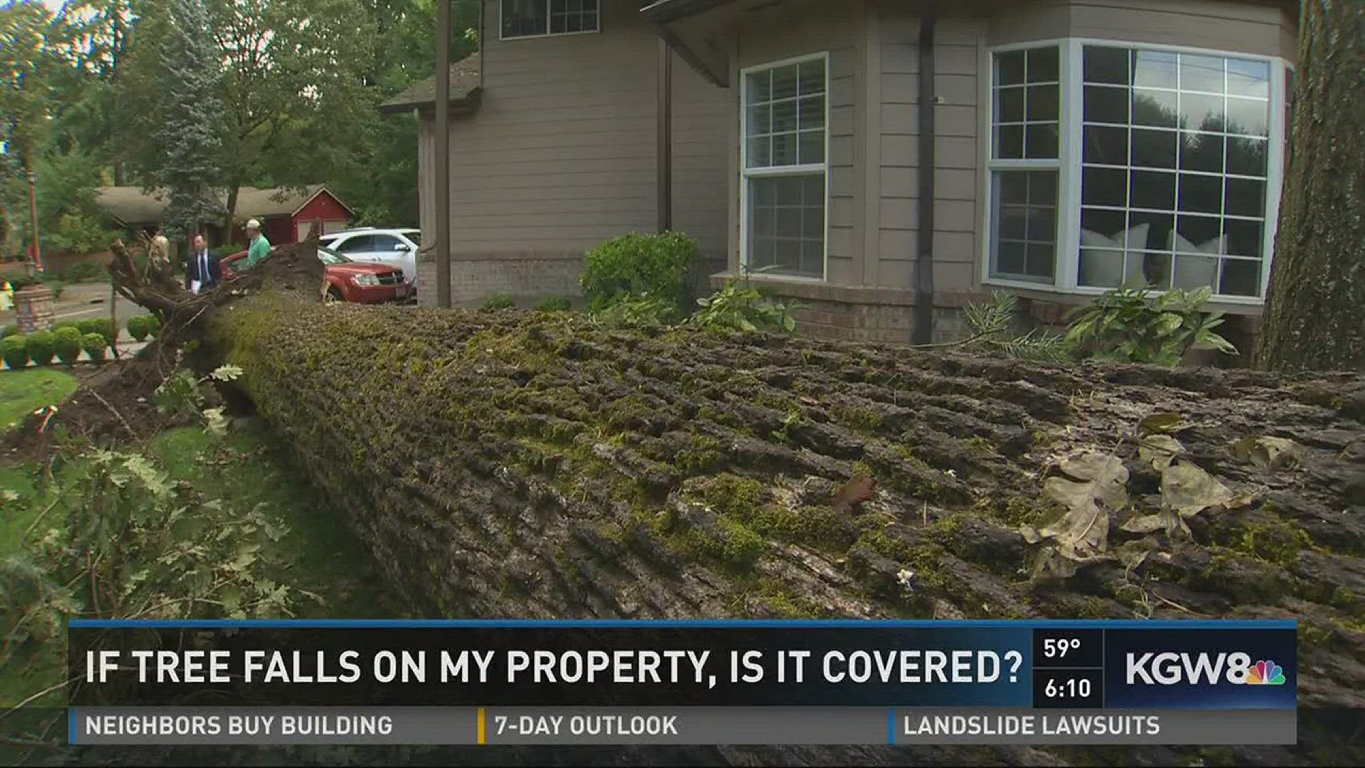 When trees come down, are homeowners covered? | kgw.com