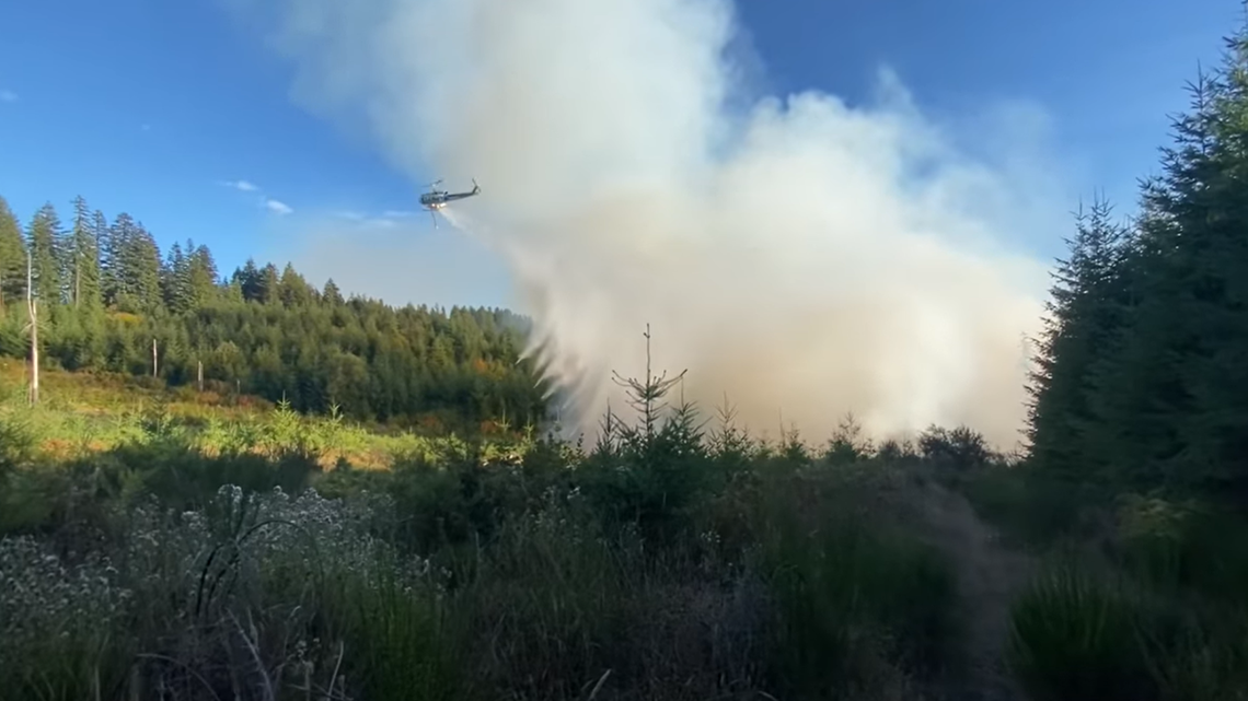 Forest fire burns more than 50 acres northwest of Scappoose | kgw.com