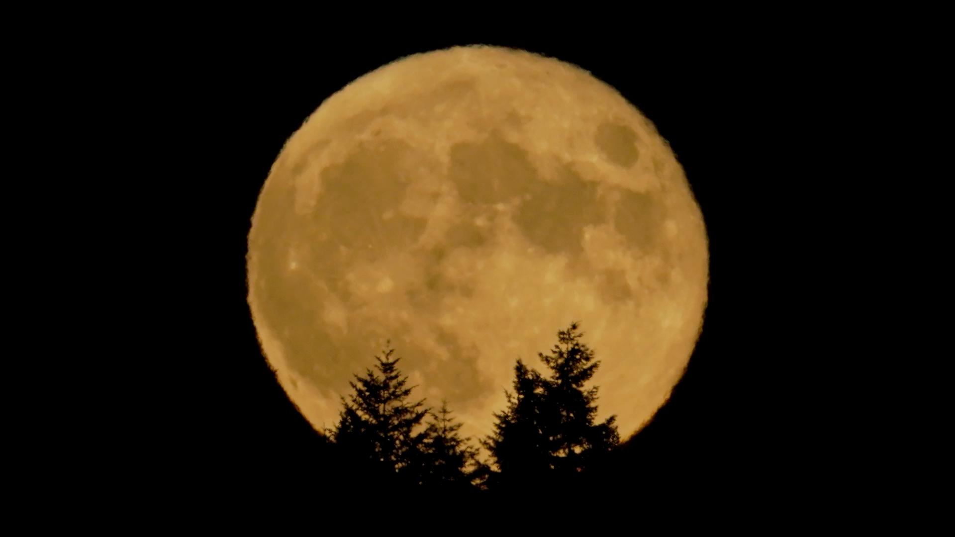 Full moon June 2025: Another chance to see rare, low strawberry moon ...
