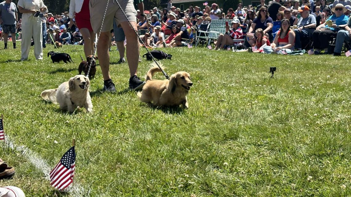 Photos: Wiener dog race on Oregon Coast | kgw.com