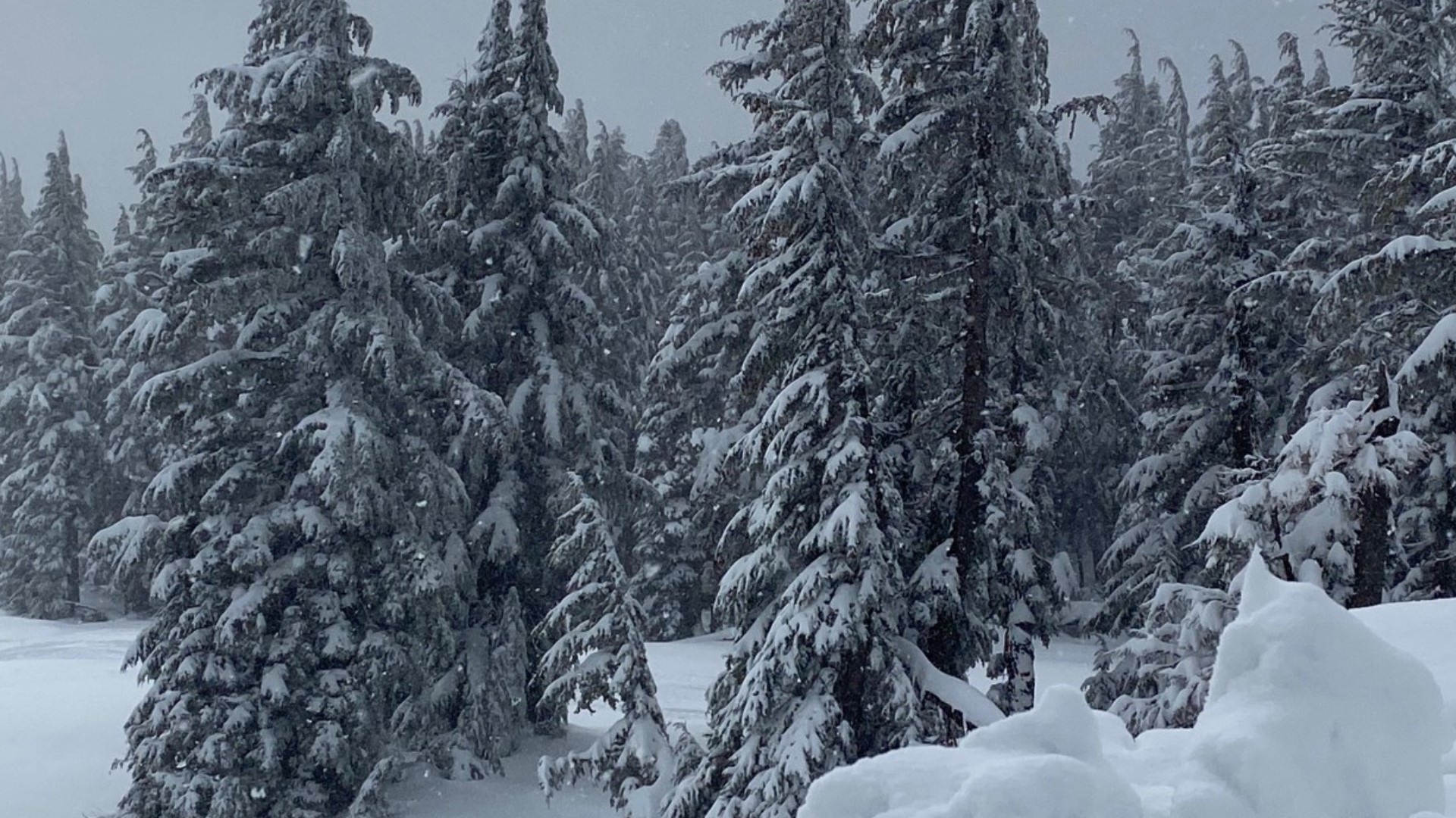 Cascades first heavy snowfall | kgw.com