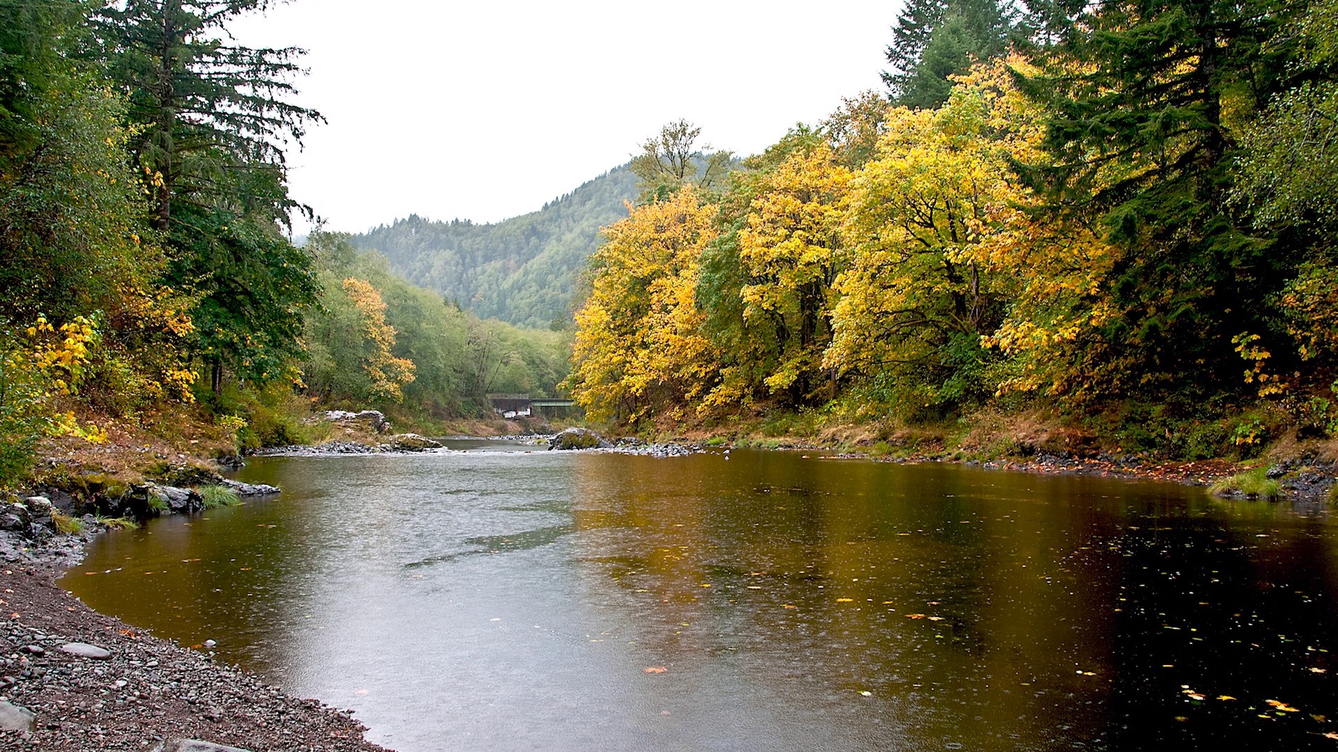 Exploring from the trees to the sea in Oregon's scenic byway | kgw.com