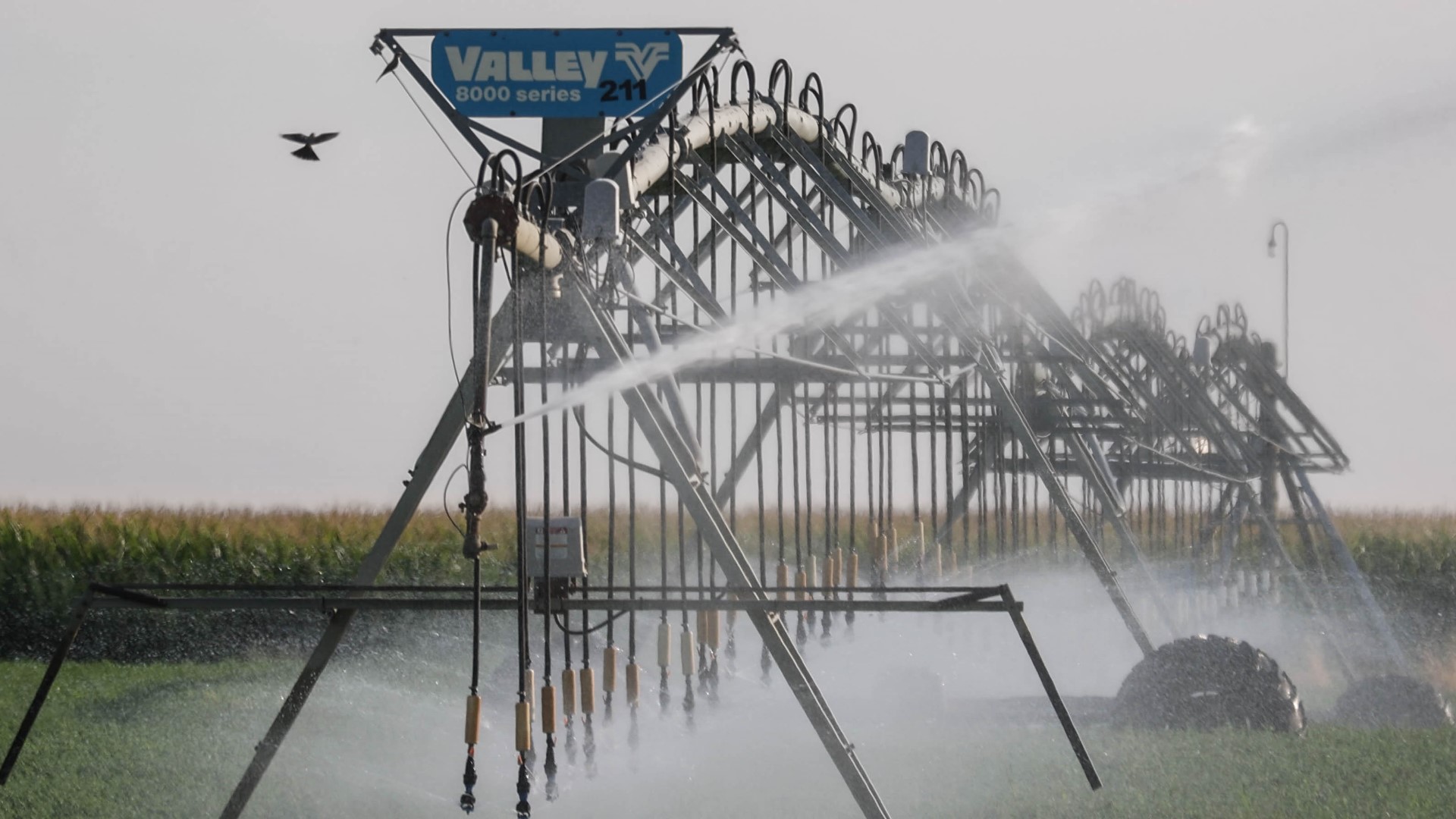 Searching for solutions to eastern Oregon's water contamination | kgw.com
