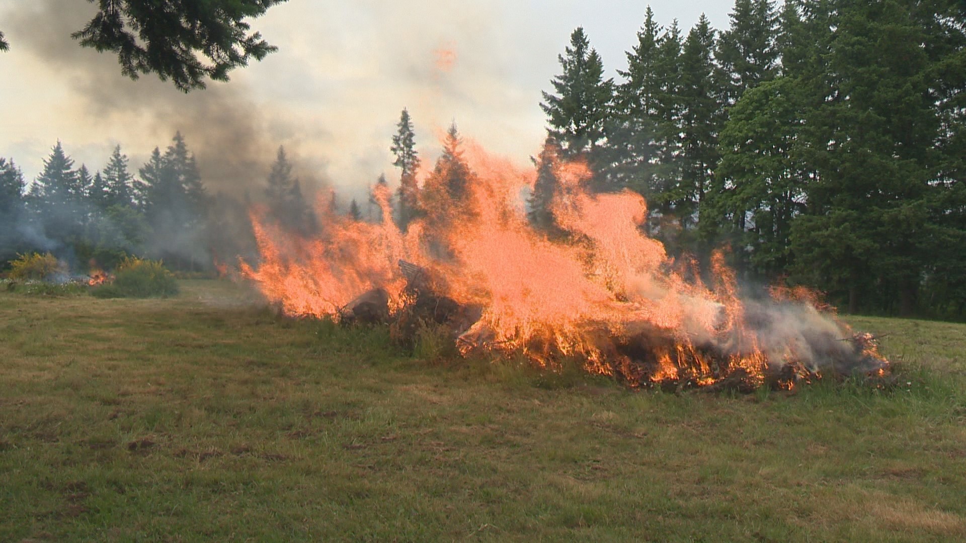 Oregon firefighters conduct wildland firefighting training | kgw.com