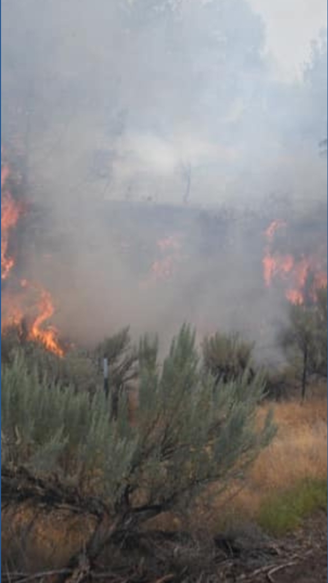 Cram Fire grows to over 91,000 acres, evacuation orders remain | kgw.com