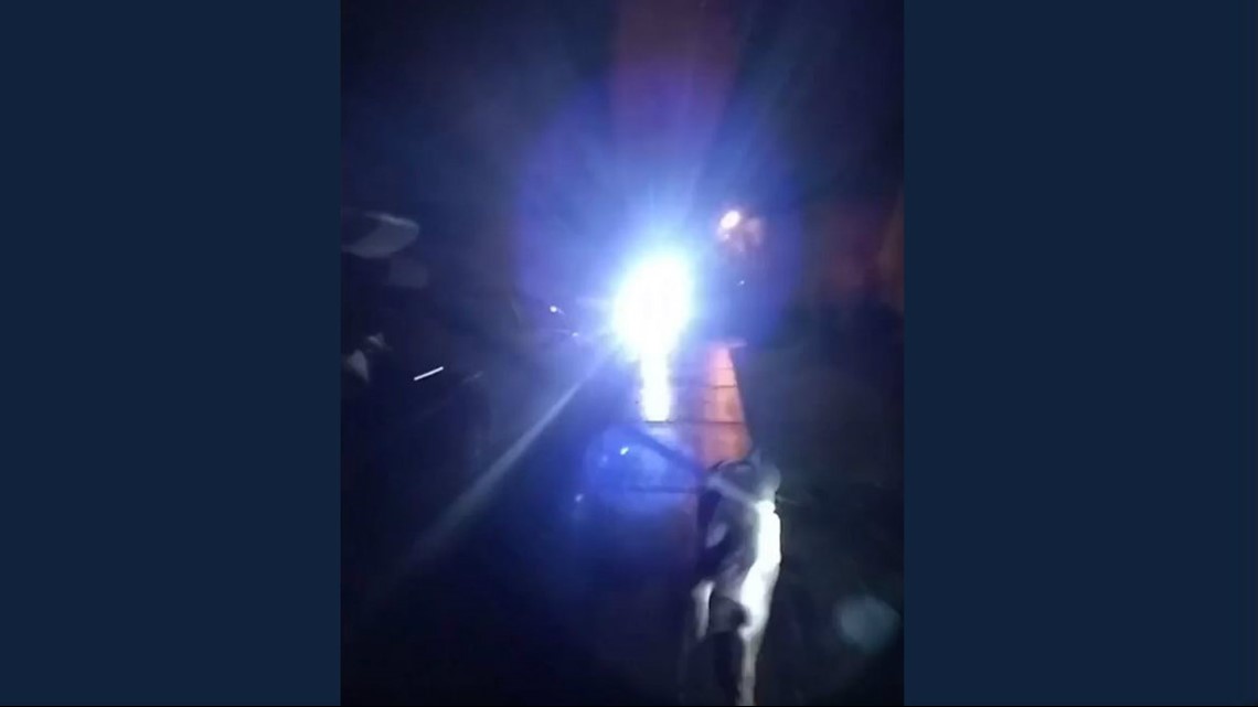 Watch: K-9 catches suspected car prowler in NW Portland | kgw.com