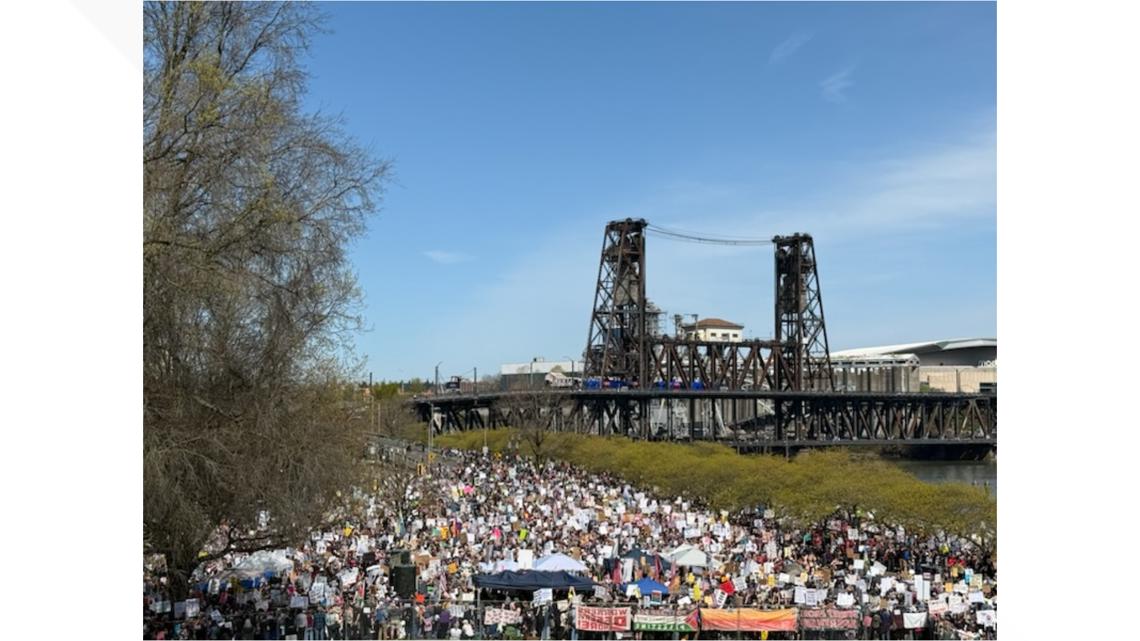 Thousands gather in Portland for anti-Trump 'Hands Off' protest | kgw.com