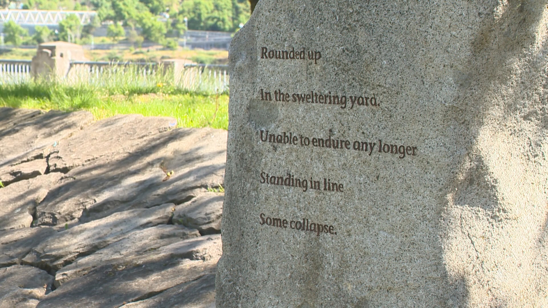 Oregon's fifth poet laureate inspires through others through work | kgw.com