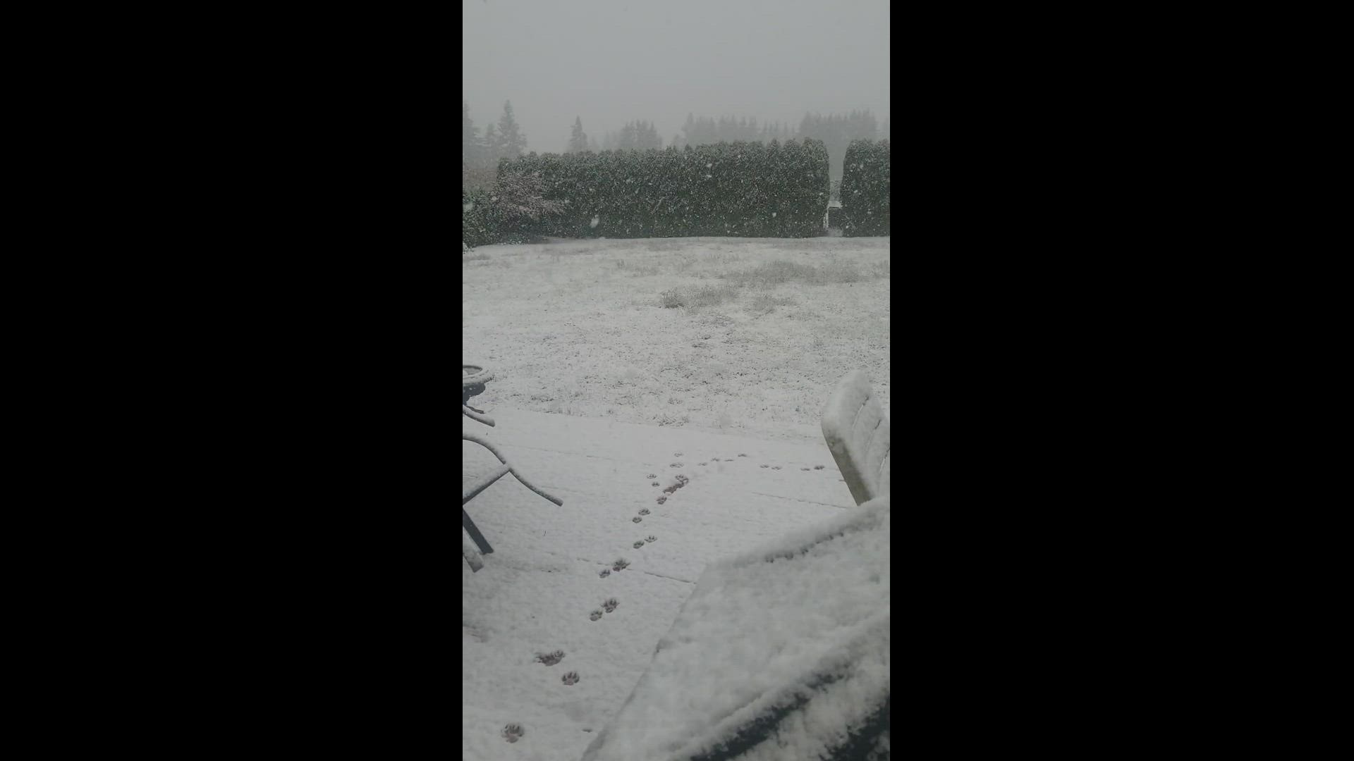 Snow in Sandy, Oregon | kgw.com