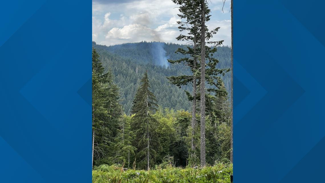 Lightning sparks 2 fires in Forest Grove watershed | kgw.com