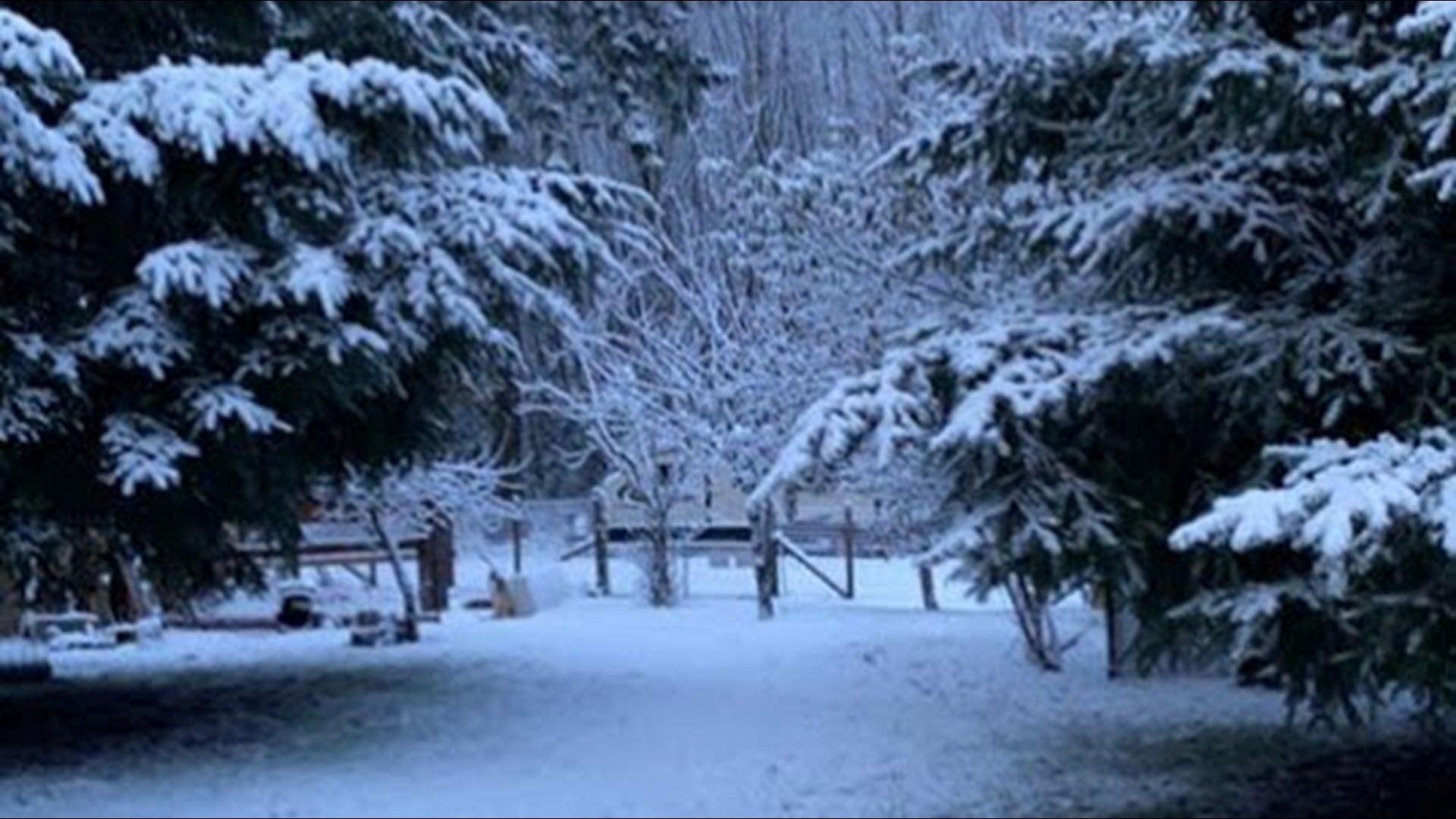 Photos and videos: Snow in Oregon and Washington | kgw.com