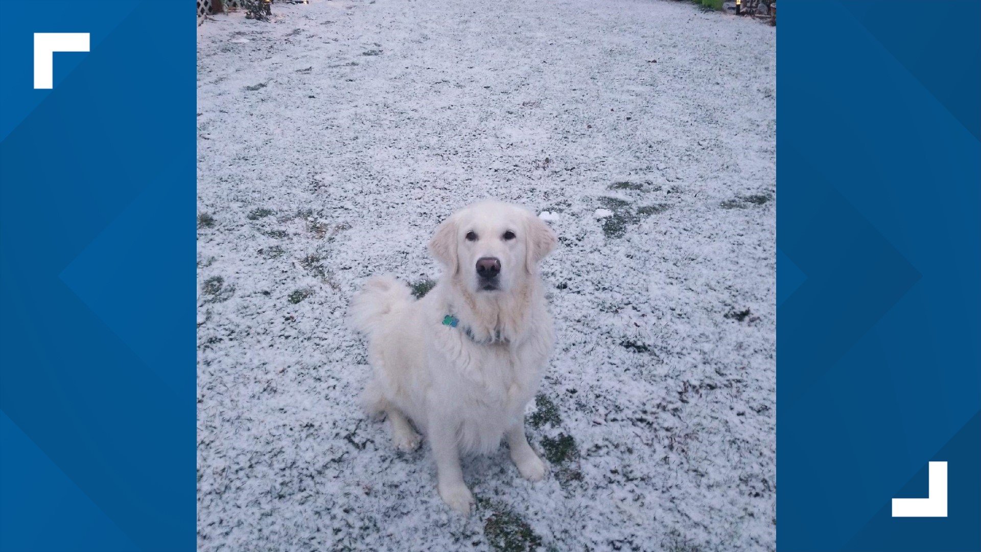 National Weather Service updates winter storm warning criteria | kgw.com