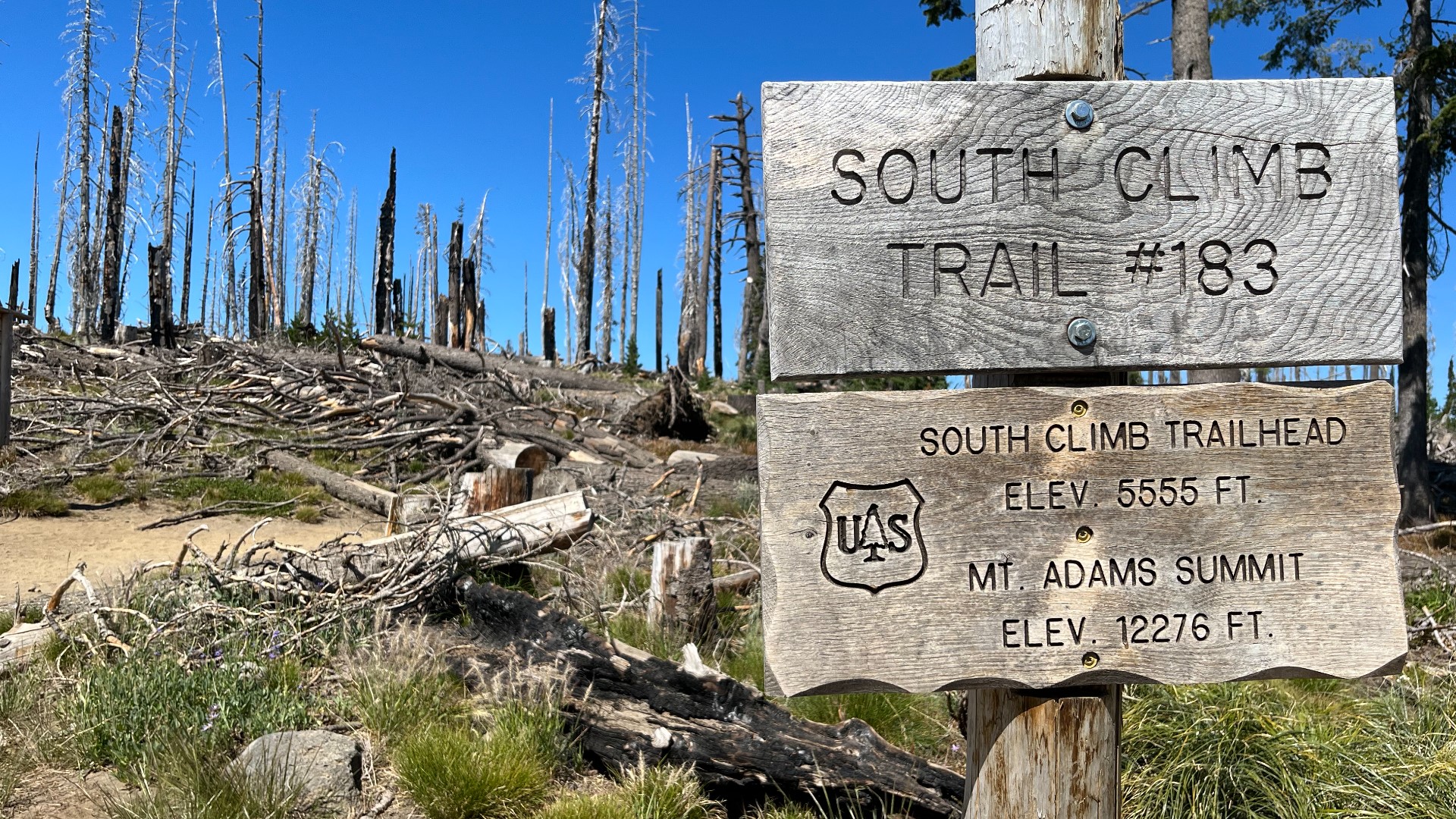 Take a trip to the summit of Mount Adams | kgw.com