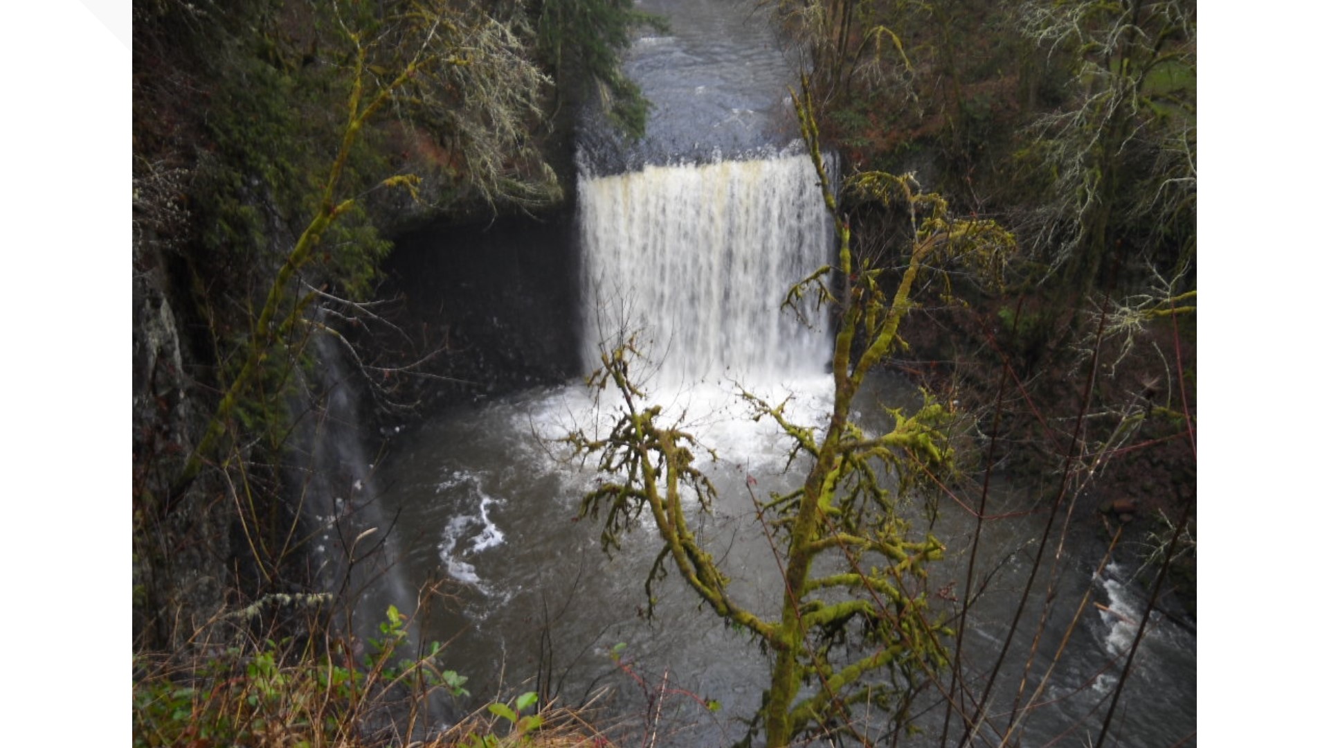 Wander with the waterfalls and the wildlife along this Oregon backroad ...