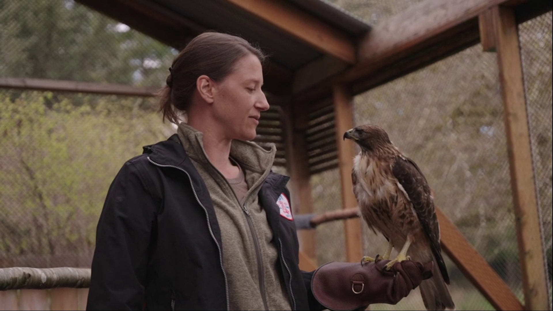 Traveling the backdoor byway to Astoria | kgw.com