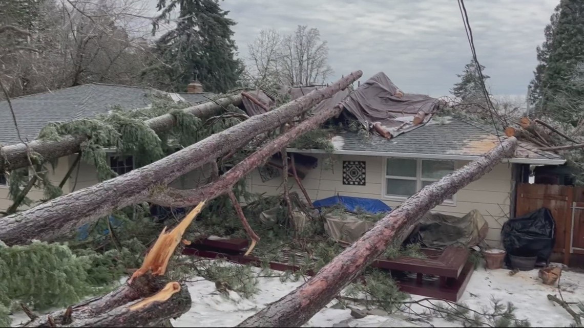 Trees fall on house months after neighbors tried to remove them | kgw.com