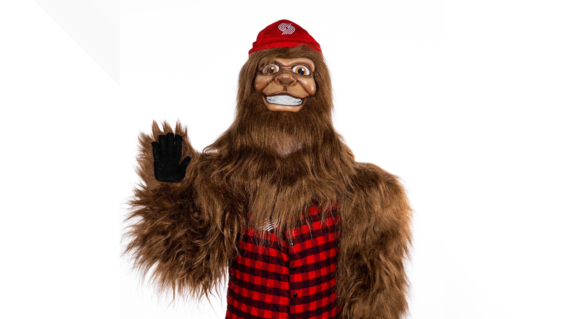 Trail Blazers unveil new Bigfoot mascot Douglas Fur | kgw.com