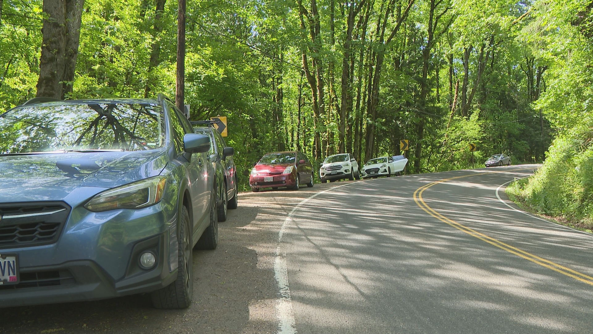 Exploring Portland's 30-mile Wildwood Trail | kgw.com